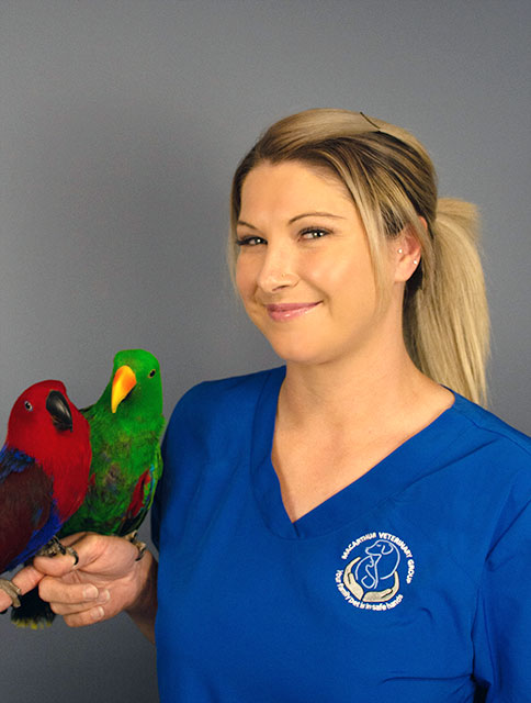 Kate P pets - Macarthur Veterinary Group